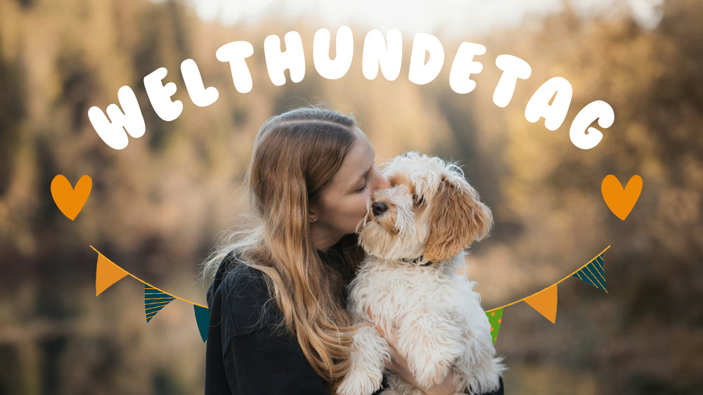 Helden auf vier Pfoten: Warum wir Welthundetag feiern 🧡