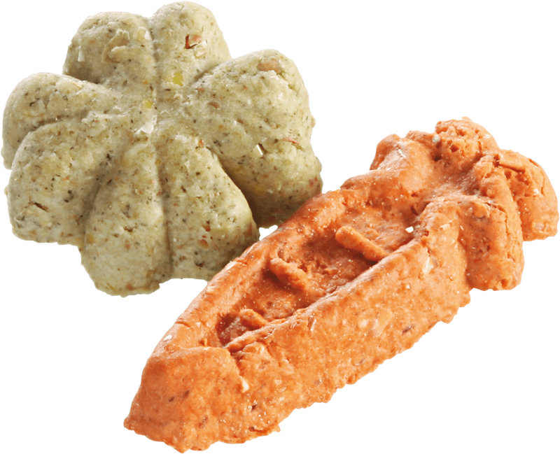 Animal Lovers Premium Hundekuchen vegetarische Selektion Veggie Snack ...